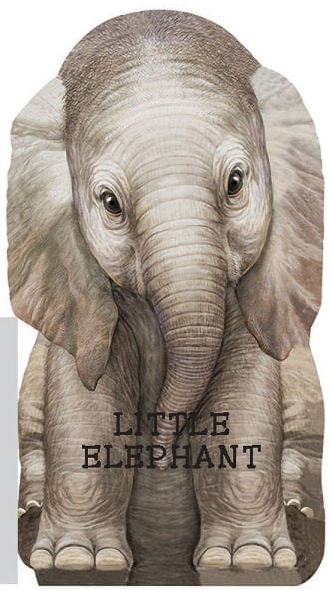 Little Elephant (Board Book) - Walmart.com
