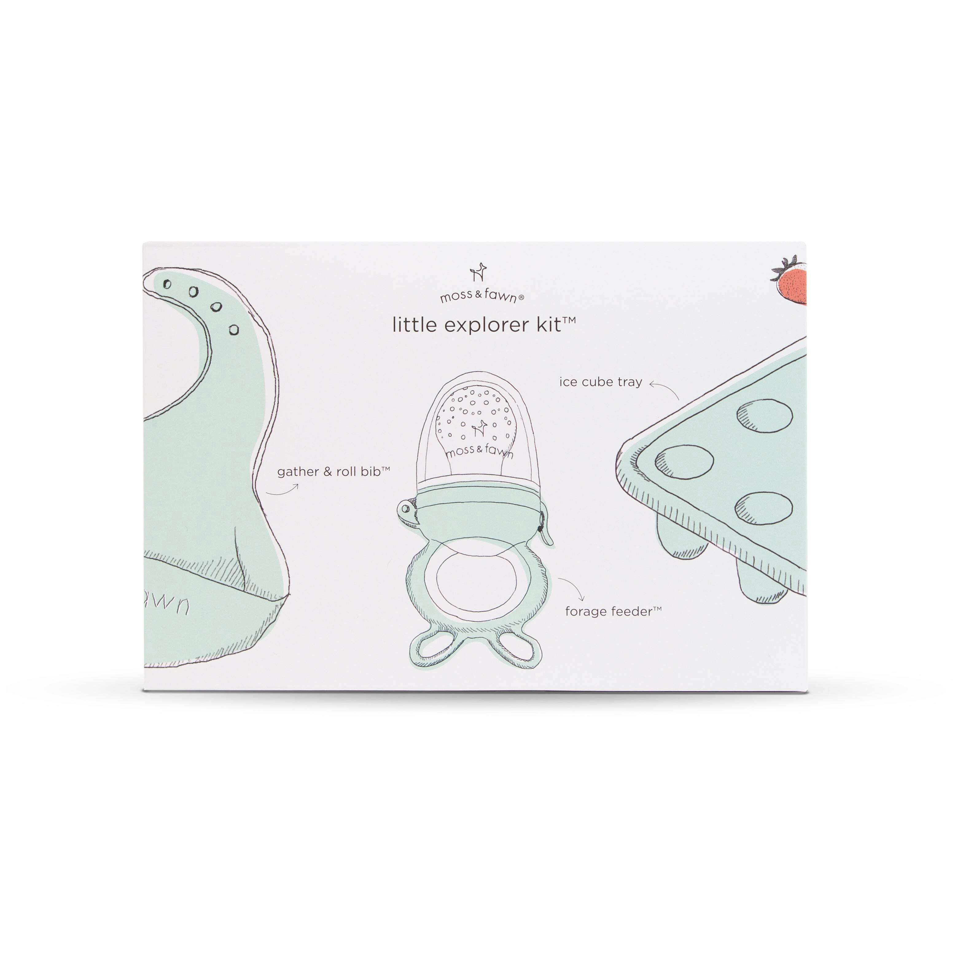 Little Explorer Kit - Walmart.com