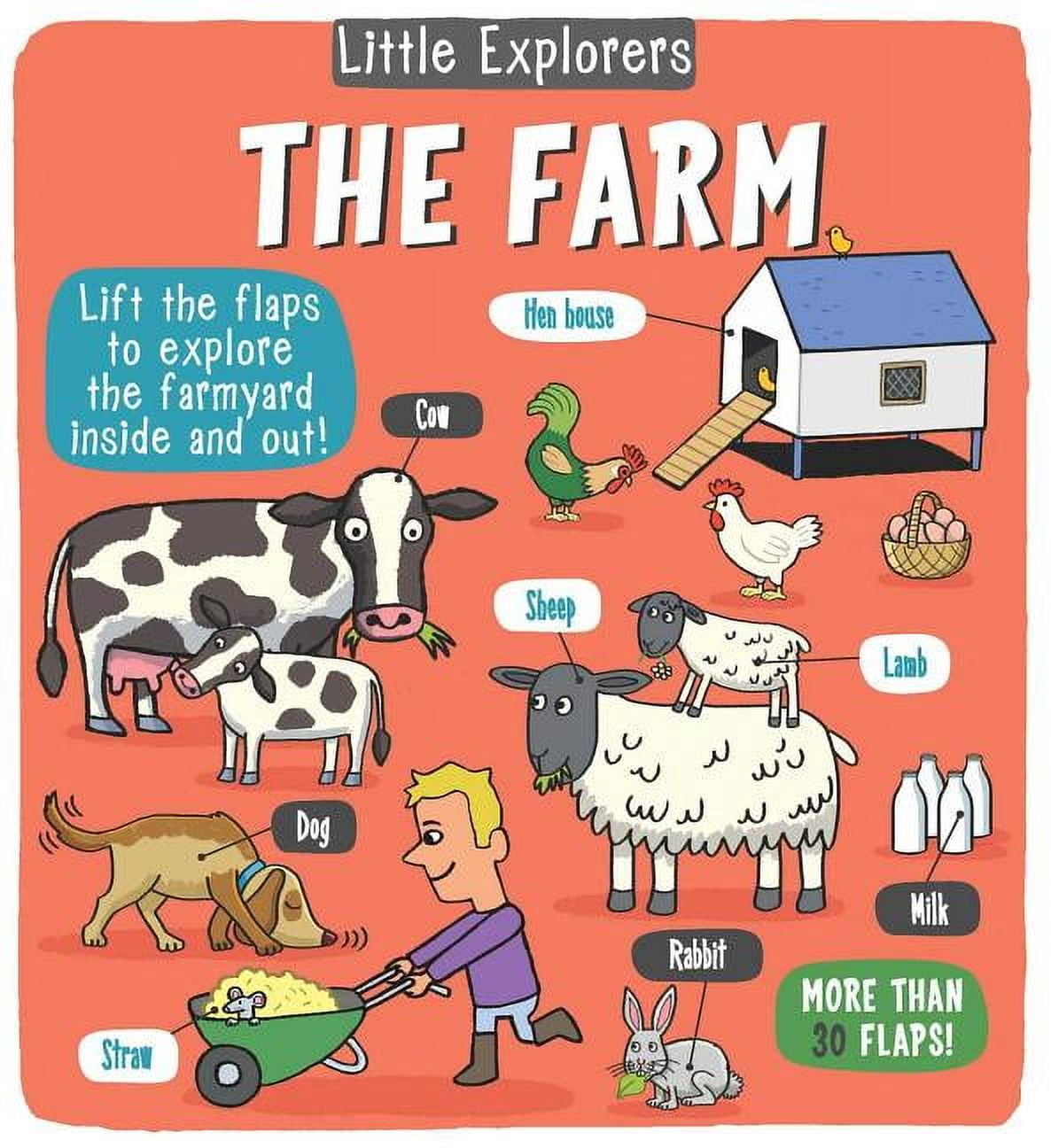 Little Explorers Little Explorers: The Farm, (Hardcover) - Walmart.com