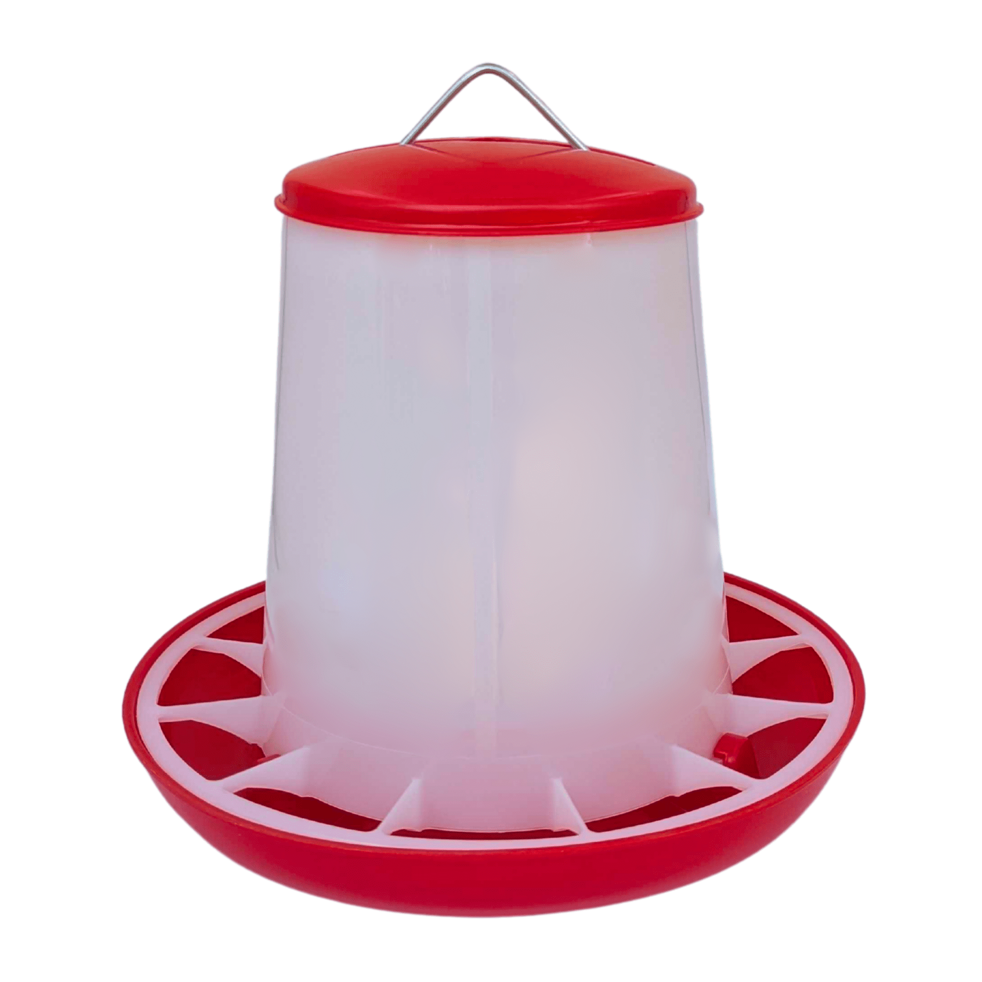 Little Family Members Large Chicken Feeder 5-Pound Capacity for All ...