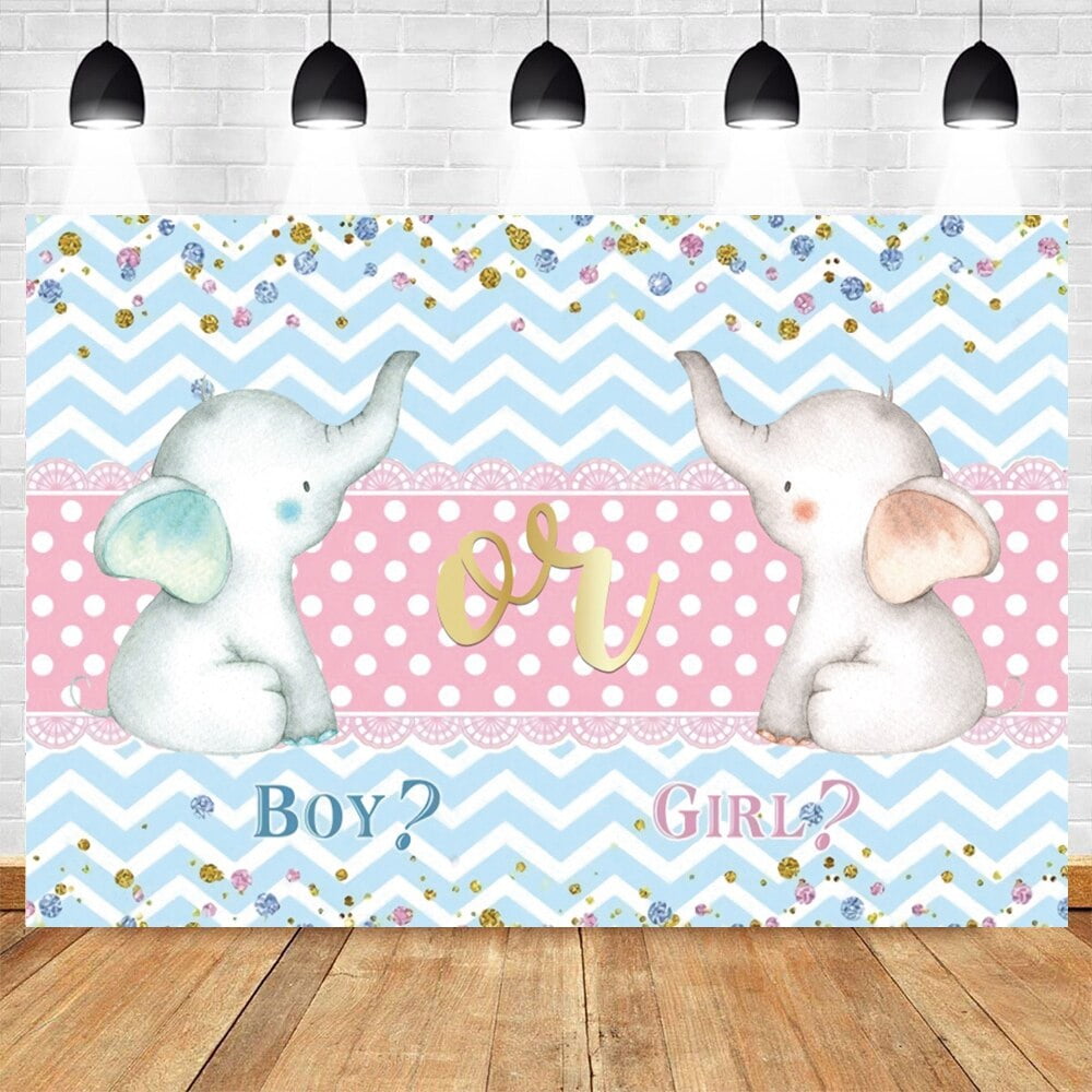 Little Feet Gender Reveal Party Background Decor Boy or Girl Newborn ...
