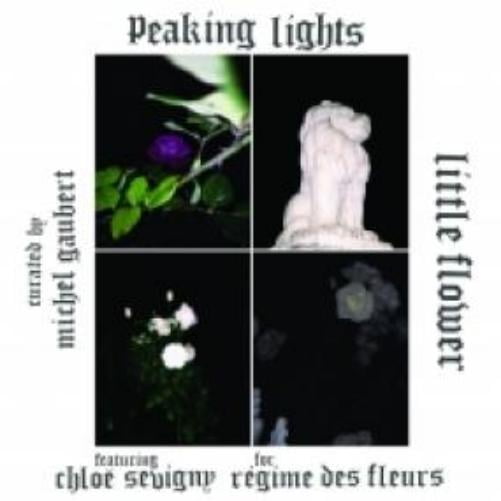 Peaking Lights Little Flower (Vinyl Record) 12" Single - Walmart.com
