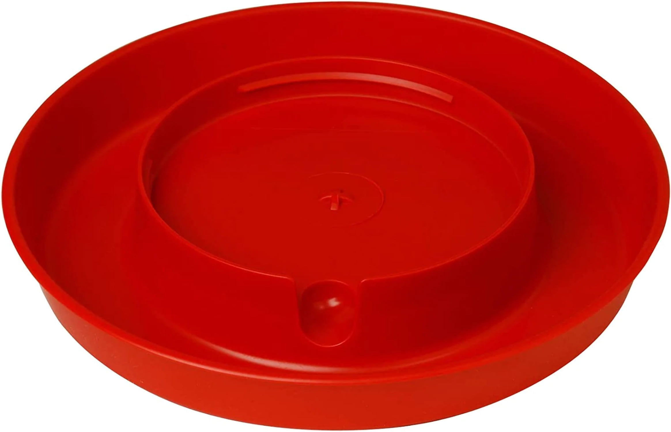 Little Giant 1 Gallon Plastic Screw-On Poultry Waterer Base, Red ...