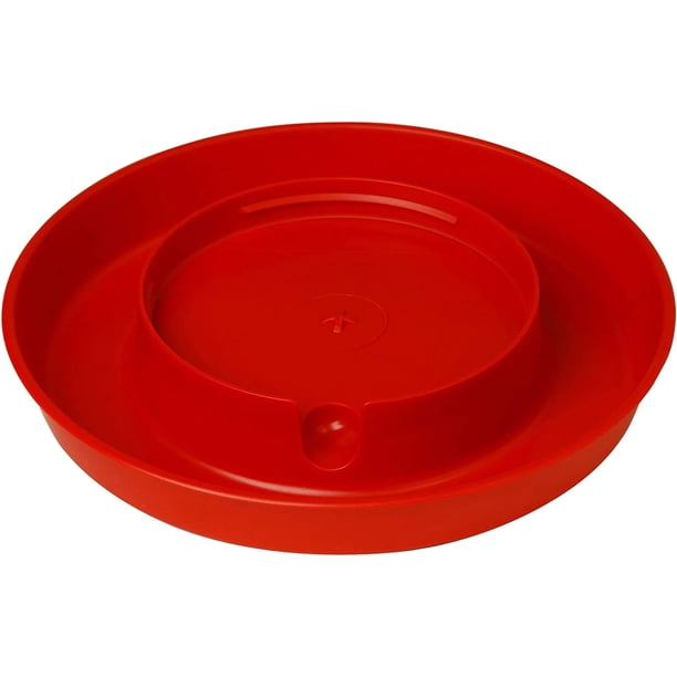Little Giant 1 Gallon Plastic Screw-On Poultry Waterer Base, Red ...