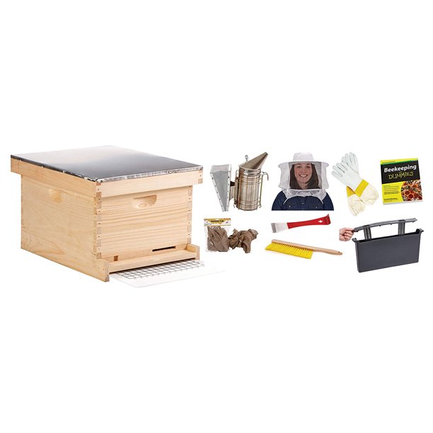 Little Giant Beginner Hive Kit - Walmart Business Supplies