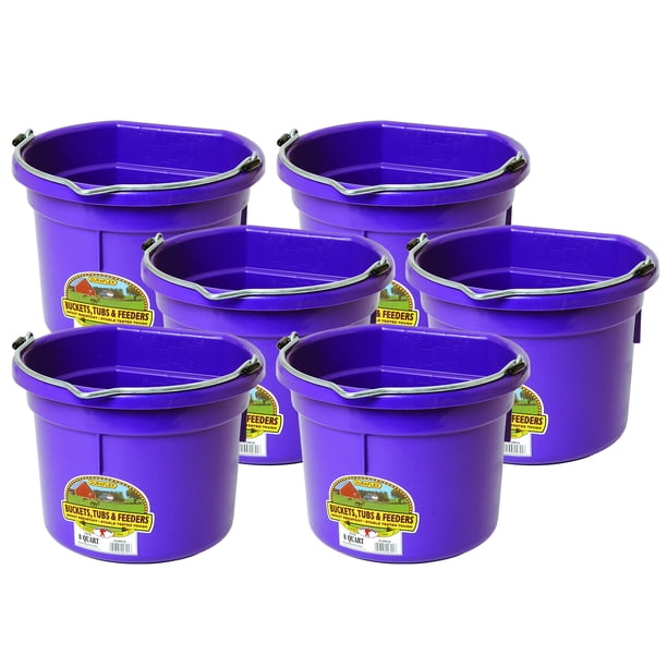 Little Giant 2 Gallon All Purpose Flat Back Plastic Bucket, Purple, (6 ...