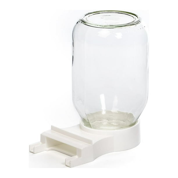 Little Giant Farm & Ag Entrance Feeder with 1 Quart Mason Jar for ...