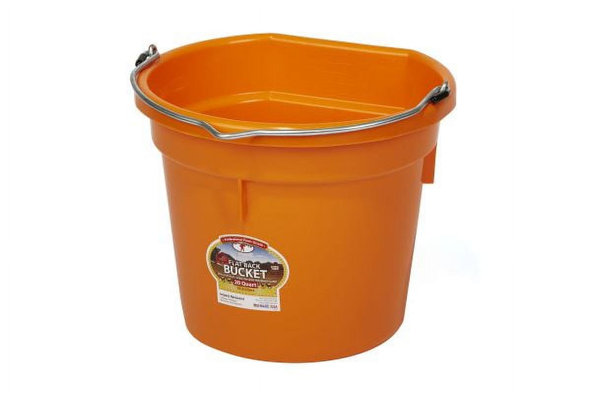 Little Giant Flat Back Bucket 20 Qt - Feed Livestock and Pets with ...
