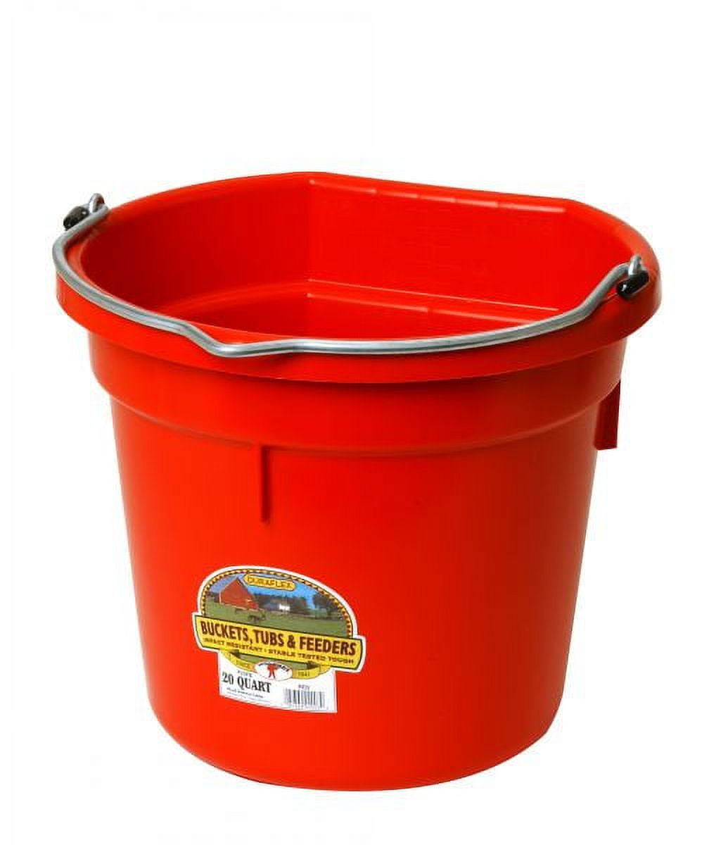 Little Giant Flat Back Bucket 20 Qt - Feed Livestock and Pets with ...