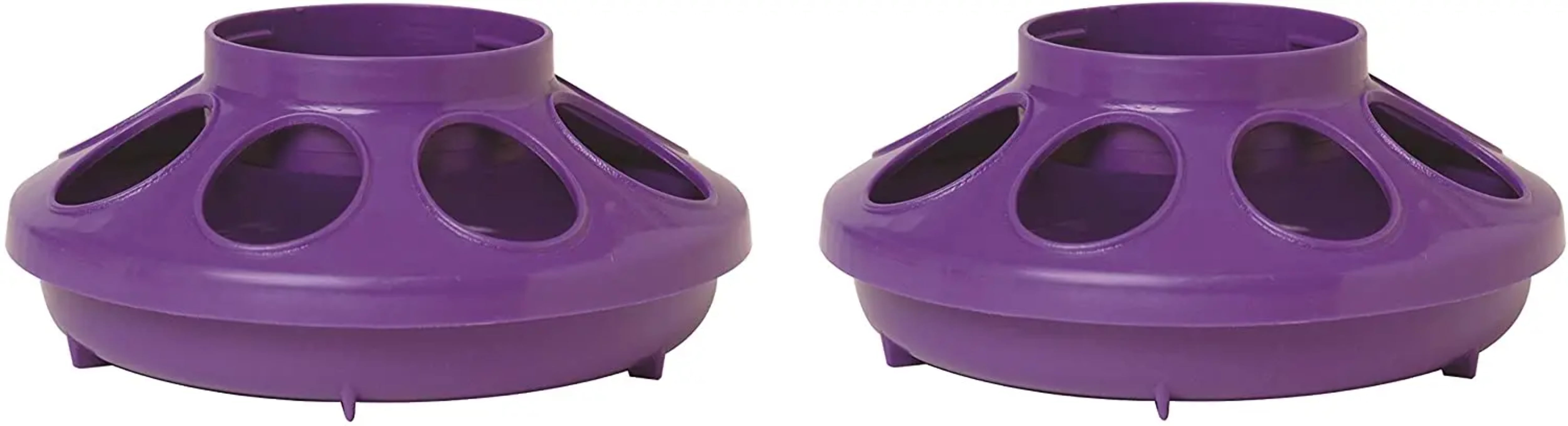 Little Giant Plastic Baby Chick Feeder Bases 1Qt Purple 2-Pack ...