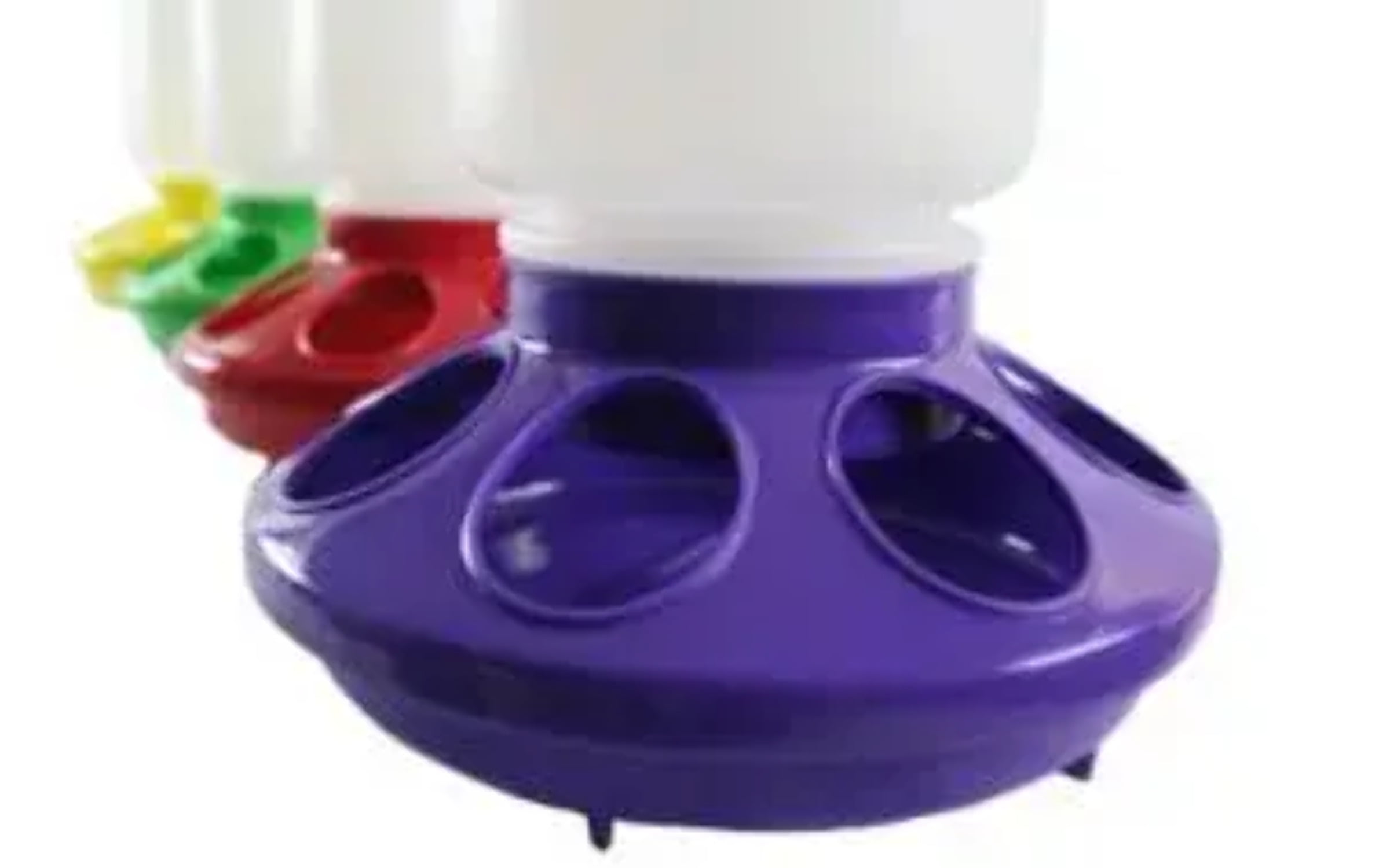 Little Giant Poultry Chicken 1 QT Plastic Feeder Set / Water Set ...
