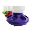 Little Giant Poultry Chicken 1 QT Plastic Feeder Set / Water Set ...