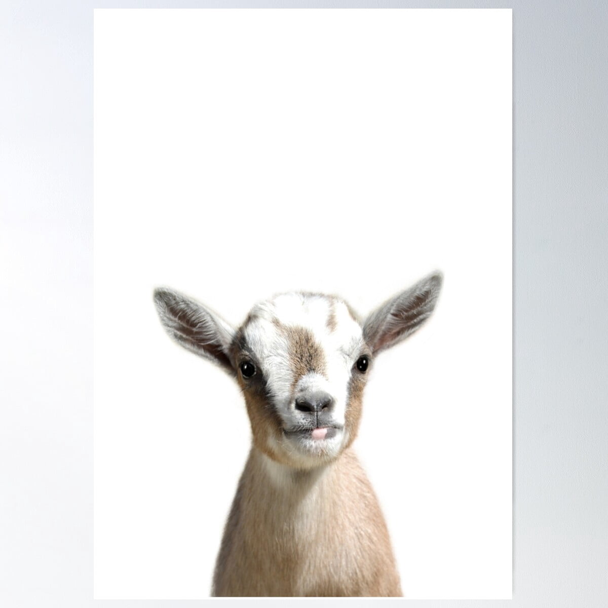 Little Goat, Animal, Cute Animal Poster Wall Art, Modern Wall Decor For ...