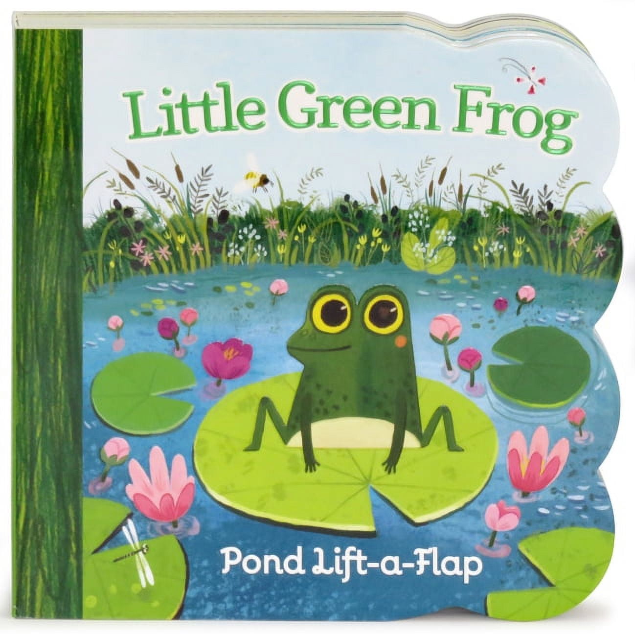 Little Green Frog (Board Book) - Walmart.com