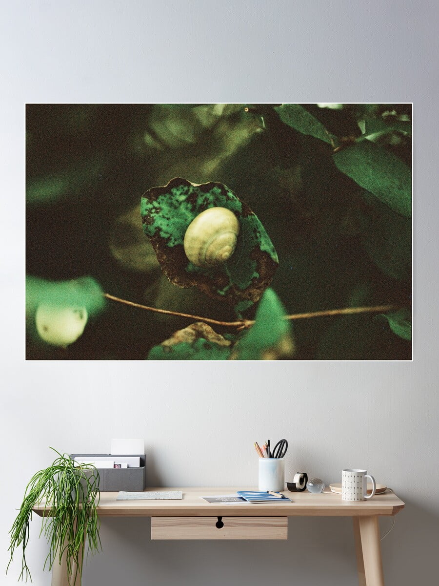 Little Green Snail On A Greener Leaf Poster Wall Art, Modern Wall Decor ...