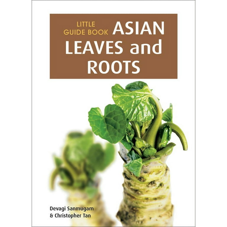 Asian Root Vegetables Visual Guide