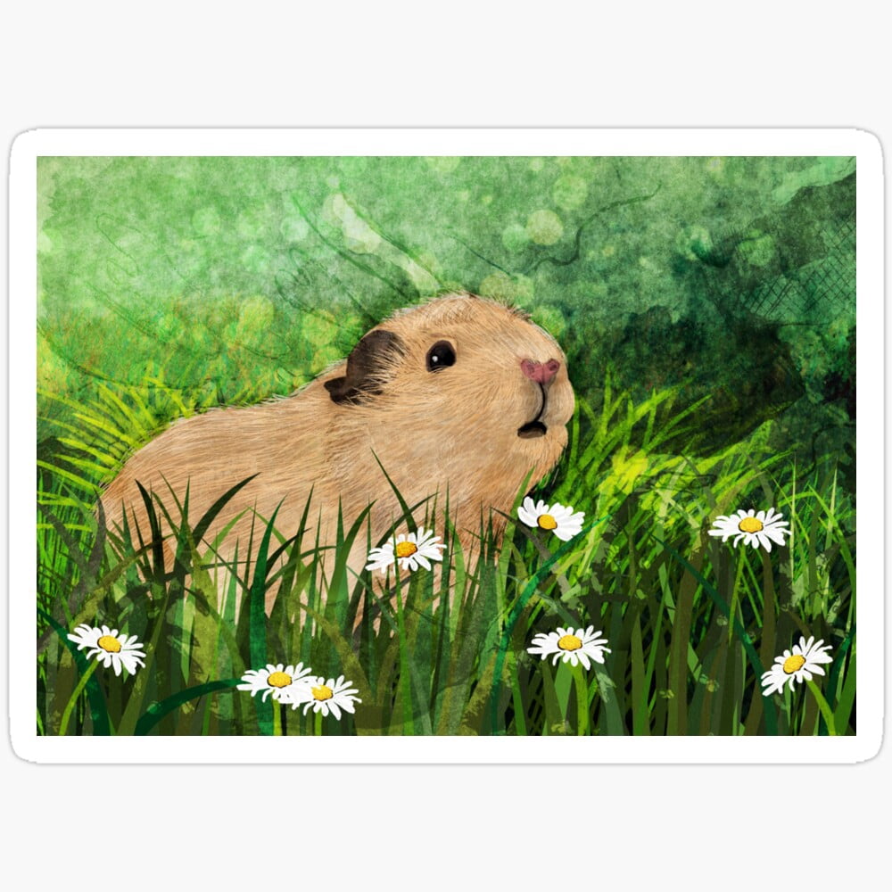 Little Guinea Pig Sticker Phone Decal Water Bottle Stickers Car Decals ...