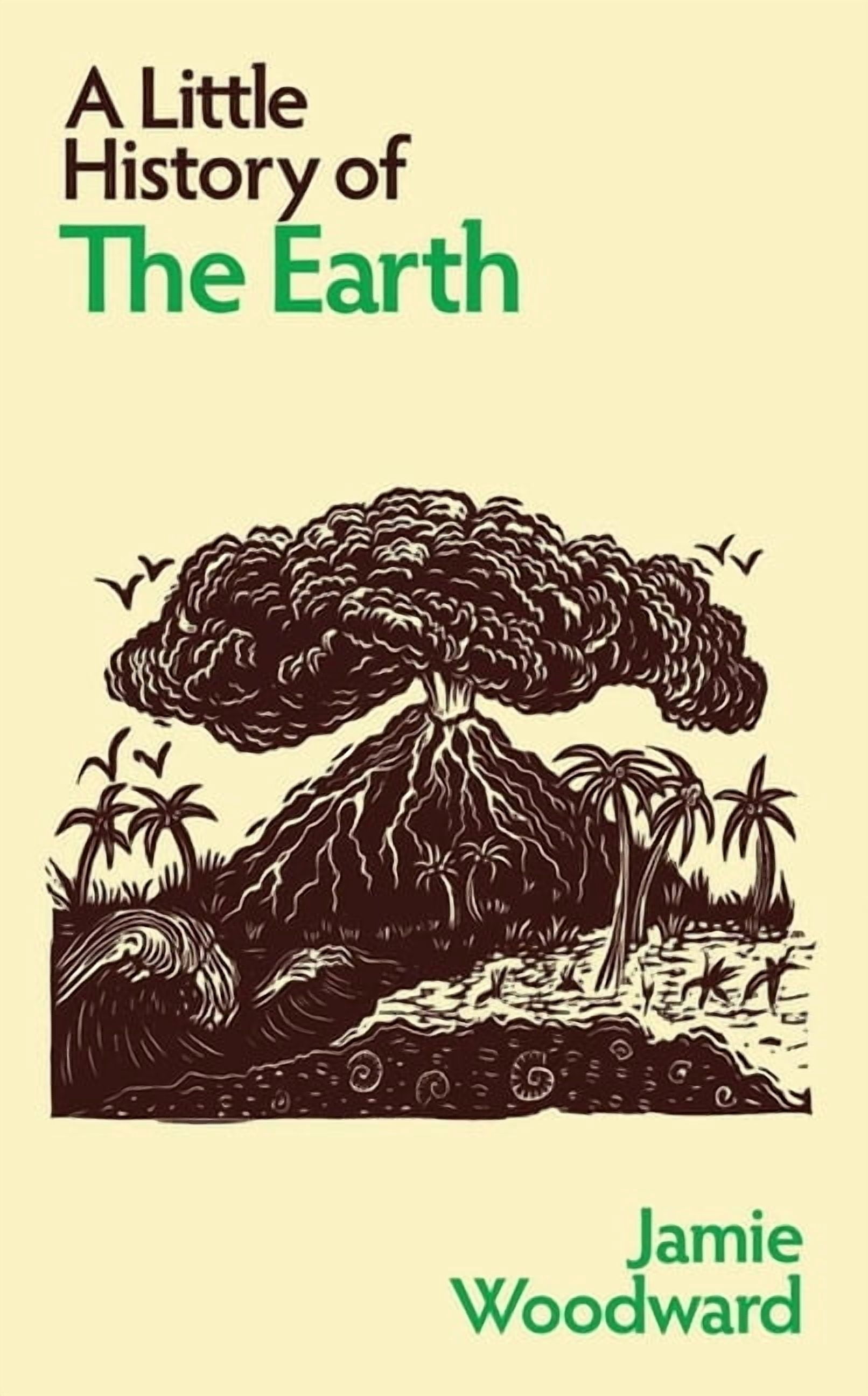 Little Histories A Little History of the Earth, (Hardcover) - Walmart.com