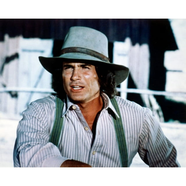Little House On The Prairie 24X36 Classic Hollywood Poster Michael ...