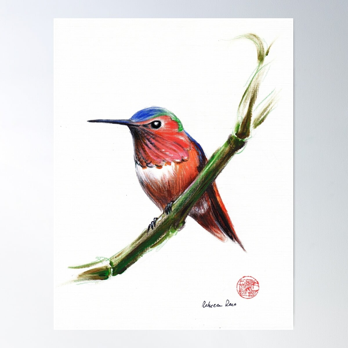 Little Hummer - Hummingbird Prisma Pencil & Acrylic Painting Poster ...