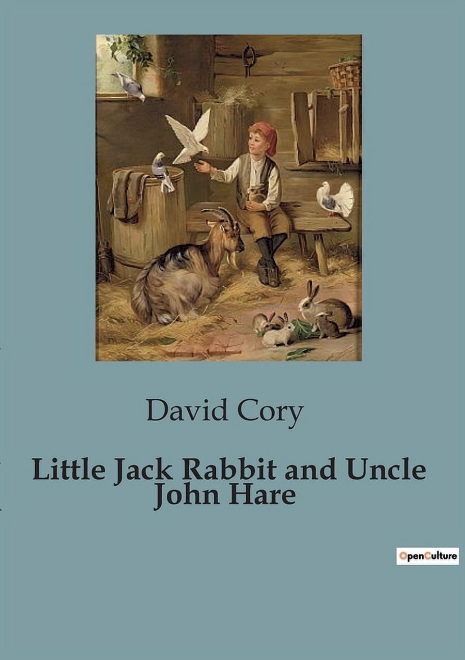 Little Jack Rabbit and Uncle John Hare - Walmart.com