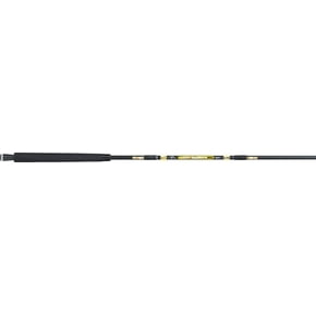 Cane Fishing Pole