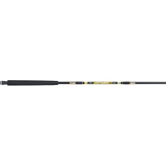 Cane Fishing Pole