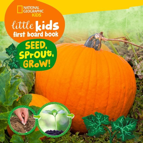 Little Kids First Board Book: Little Kids First Board Book Seed, Sprout ...