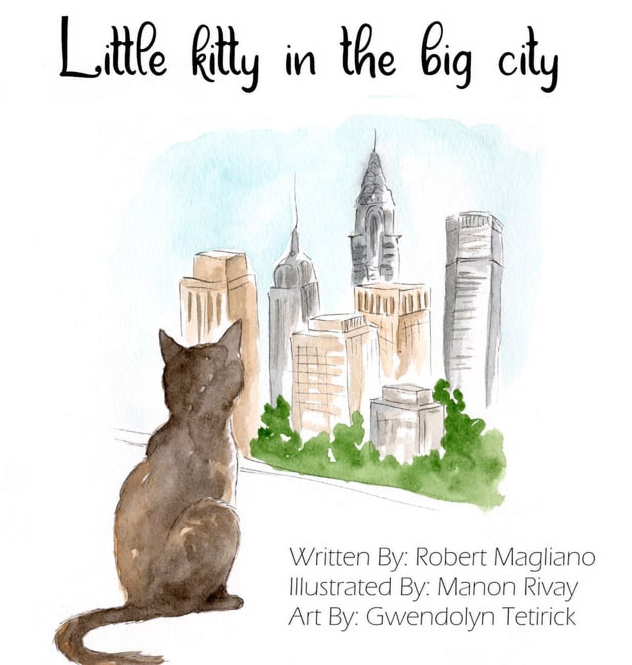 Little Kitty in the Big City, (Hardcover) - Walmart.com