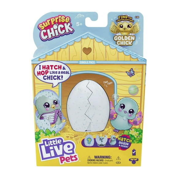 Chirping Chick Toy