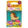 Little Live Pets NeeDees Dandee Duck - Walmart.com