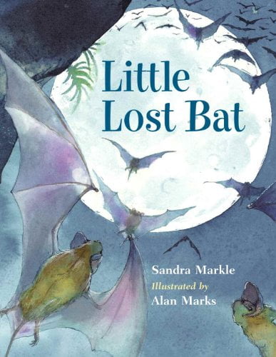 Pre-Owned Little Lost Bat Paperback - Walmart.com