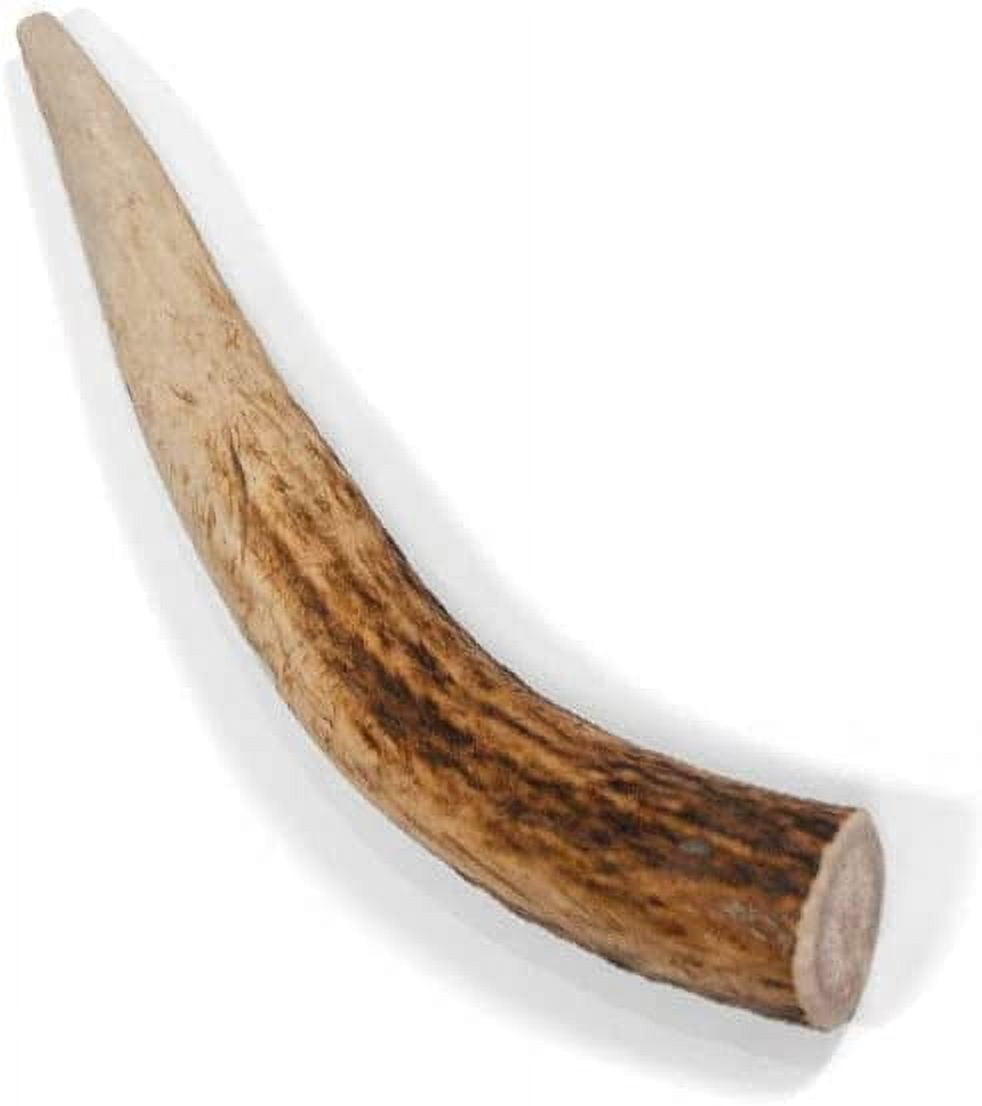 Little Loyals - 100% Natural Grade A Premium Whole Deer Antler Dog Chew ...