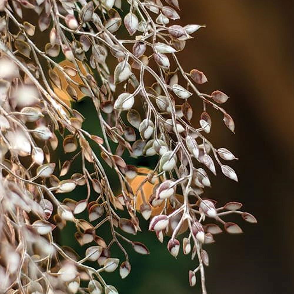 Little Luna Hanging Leaves Bush 24" (Pack of 4) - Walmart.com