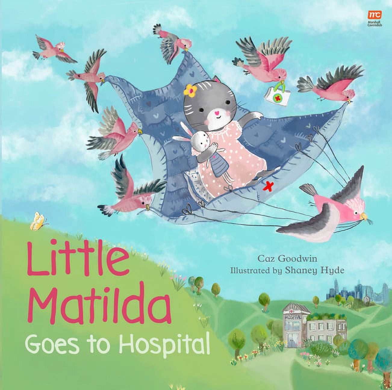 Little Matilda: Little Matilda Goes to Hospital (Hardcover) - Walmart.com