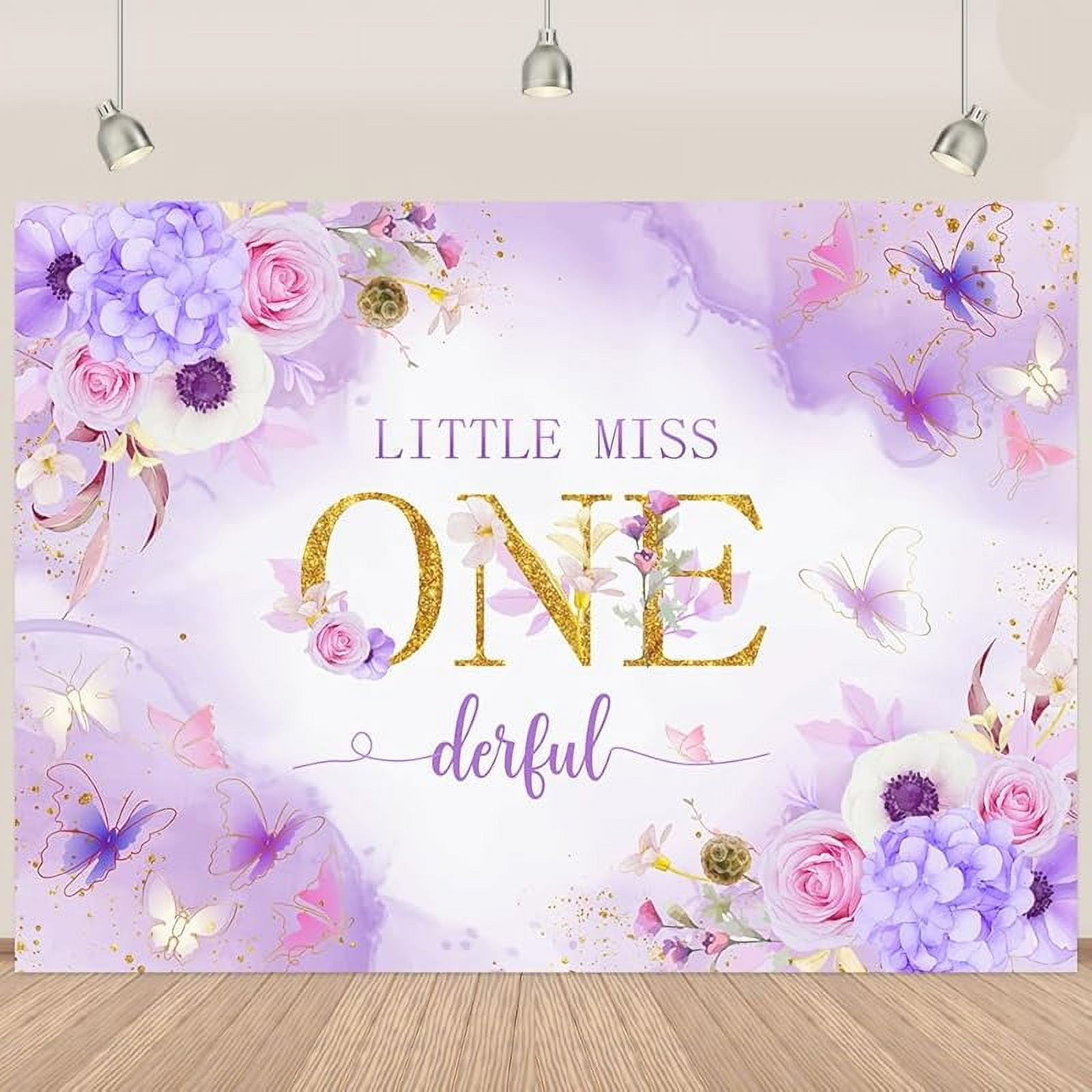 Little Miss Onederful Backdrop Butterfly 1st Birthday Decorations for ...