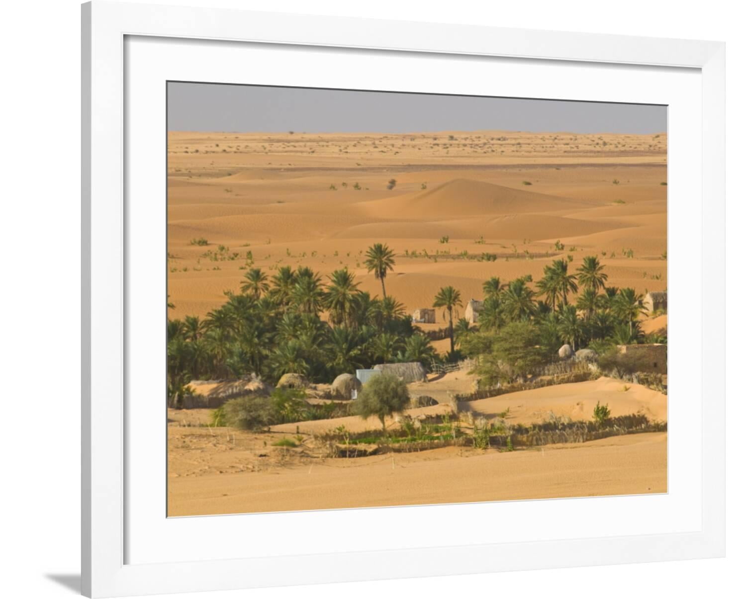 Art.com Little Oasis Between Sand Dunes at Sunset, Near Chinguetti ...