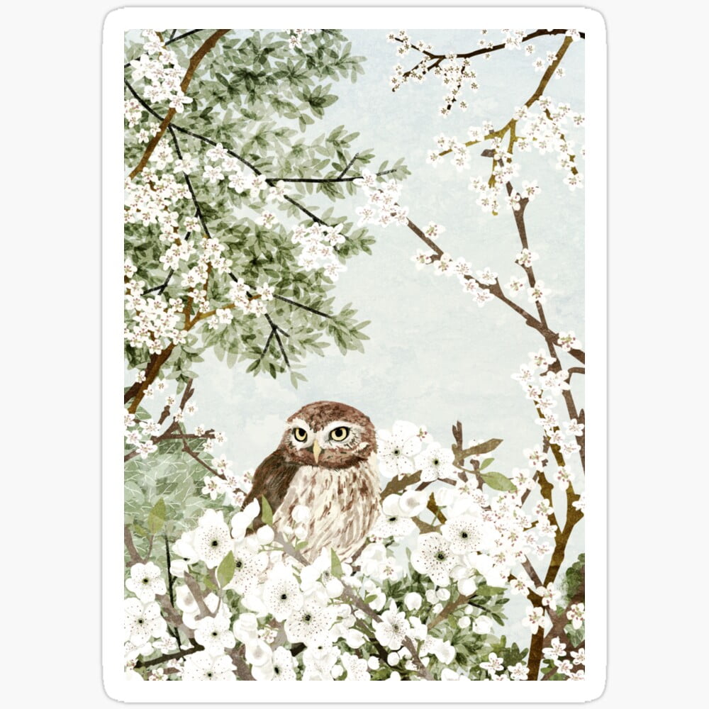 Little Owl Sticker Phone Decal Water Bottle Stickers Car Decals, Laptop ...