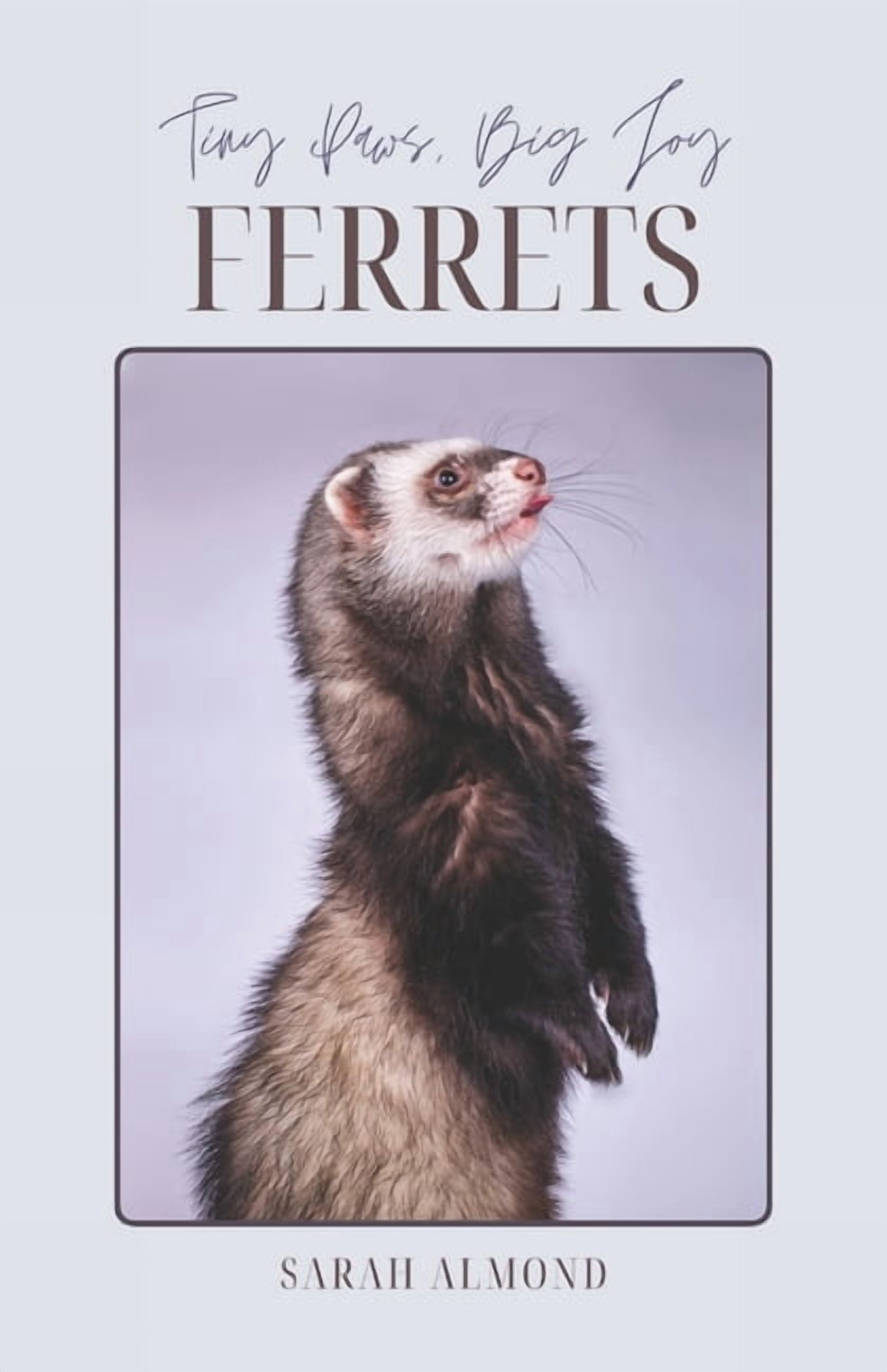 Little Paws, Big Joy: Pocket Pets Little Paws, Big Joy: Ferrets: A ...