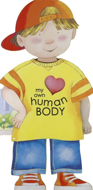 Little People Shape Books: My Own Human Body (Board Book) - Walmart.com