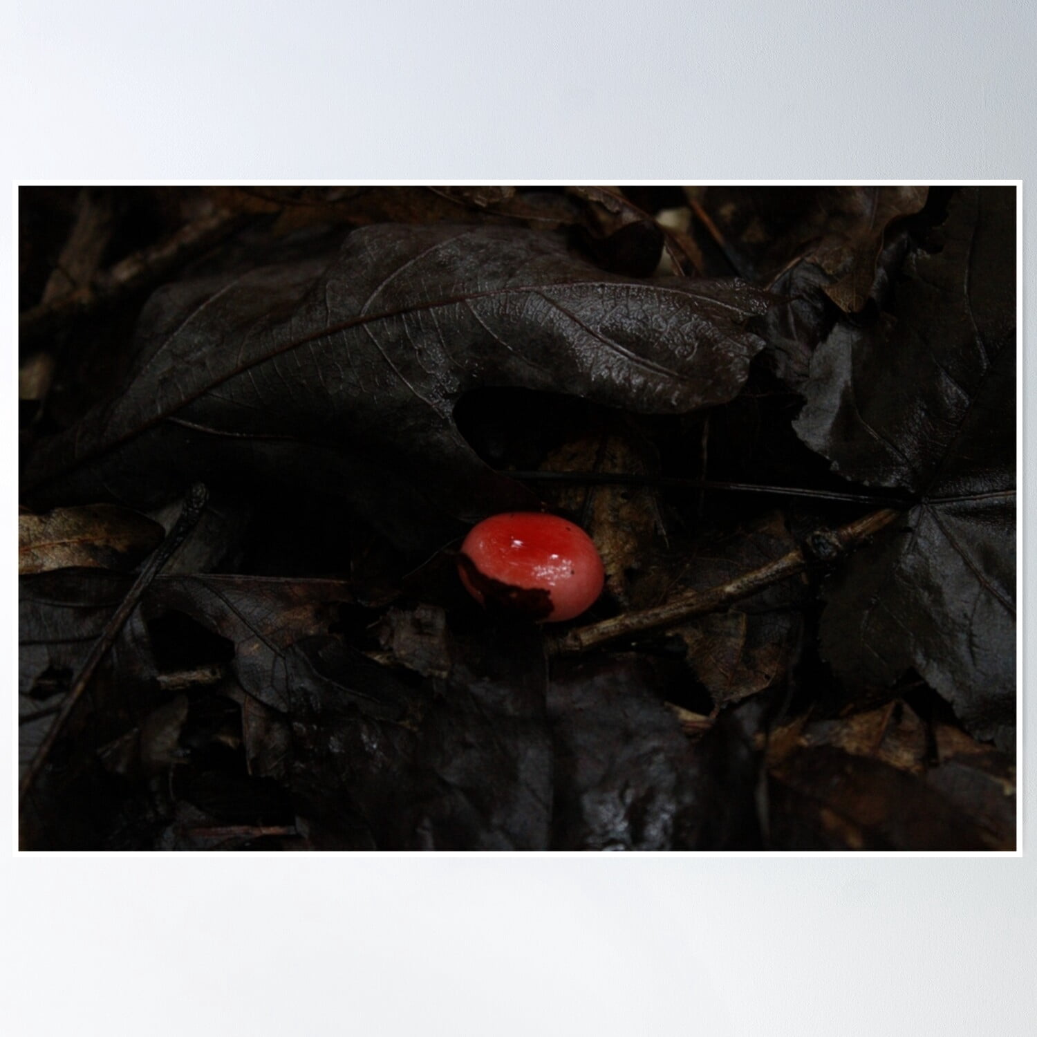 Little Red Shroom Poster Wall Art Home Decor Cute Birthday Gift ...