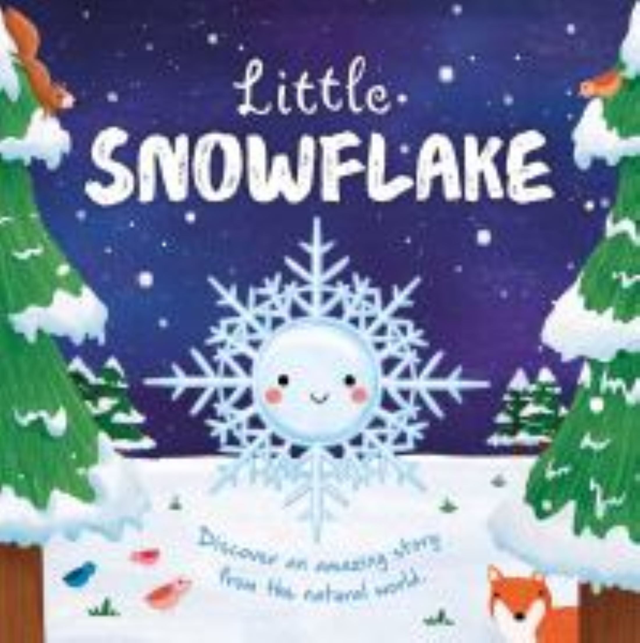 Nature Stories: Little Snowflake - Winter Kids Preschool Seasonal ...
