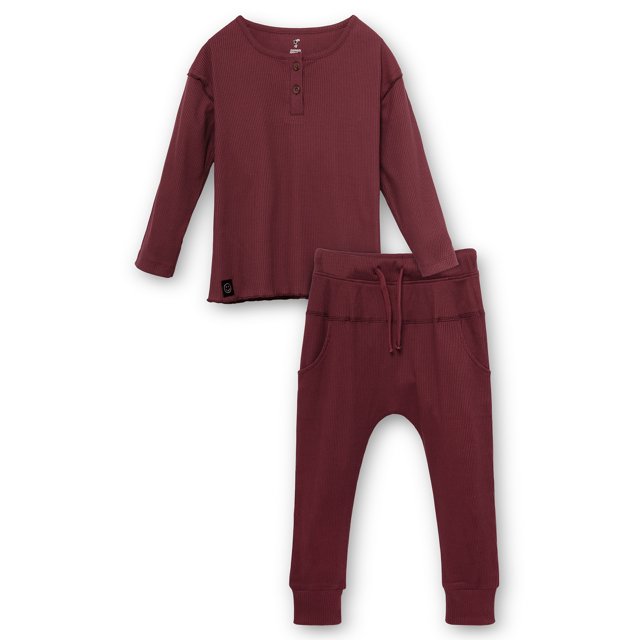 Little Star Organic Toddler Girl 2 Pc Long Sleeve Shirt and Pants ...