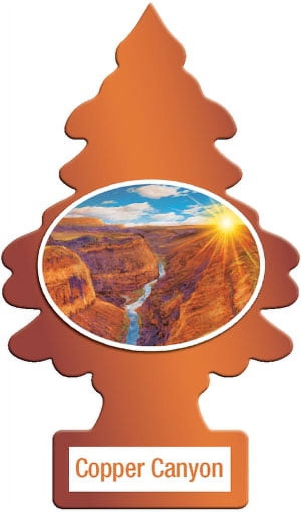 Little Tree Air Freshener Assorted Scents 12 Pack - Walmart.com