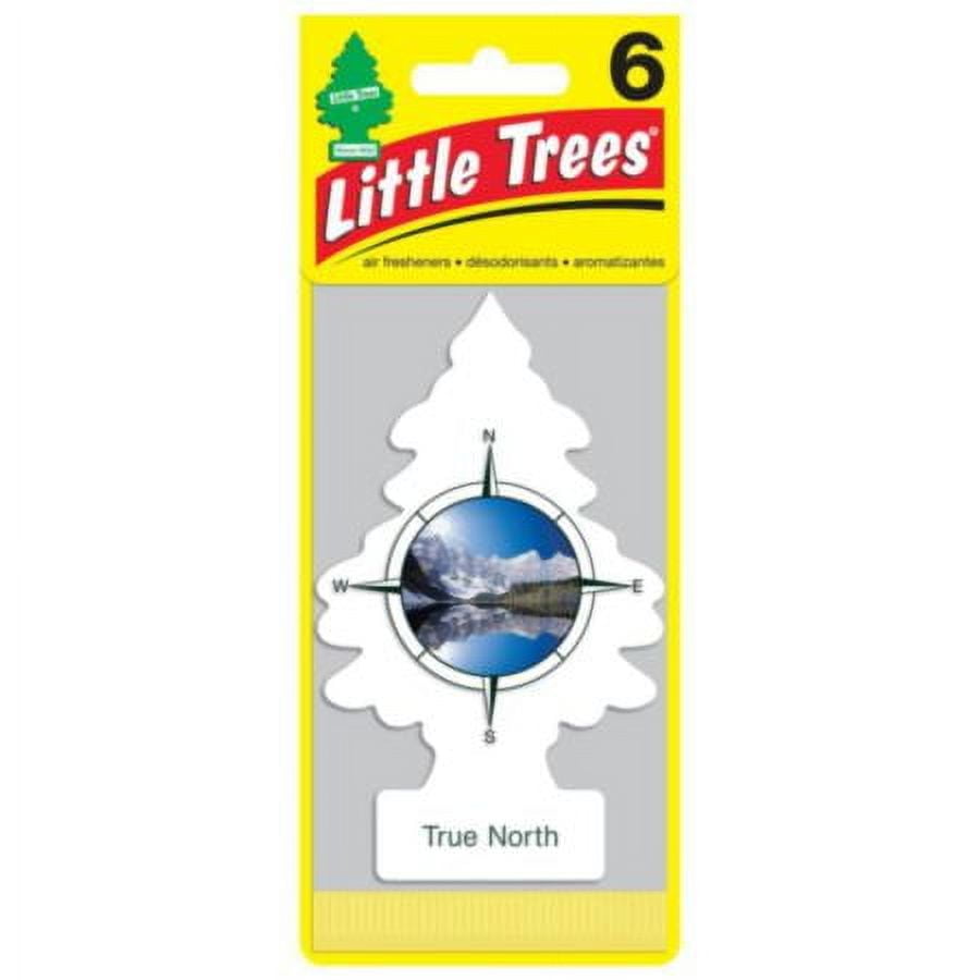 Little Trees True North Fragrance Pine Scent Car Air Freshener, 6 Pack ...