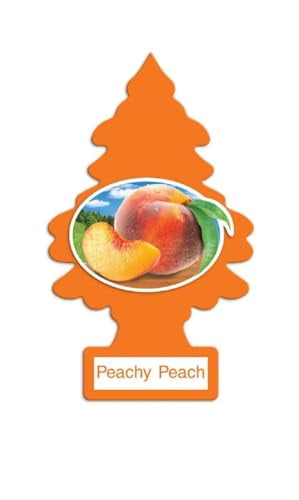 Little Trees Fruit Assorted Variety Pack of 12 Fresheners - 12 ...