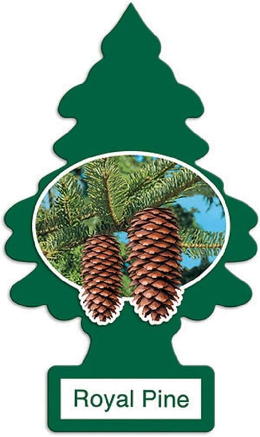 Little Trees Royal Pine Car Air Fresheners, Pack of 24 - Walmart.com