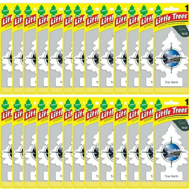 Little Trees Pine Scent True North Car & Home Air Fresheners, Pack of ...