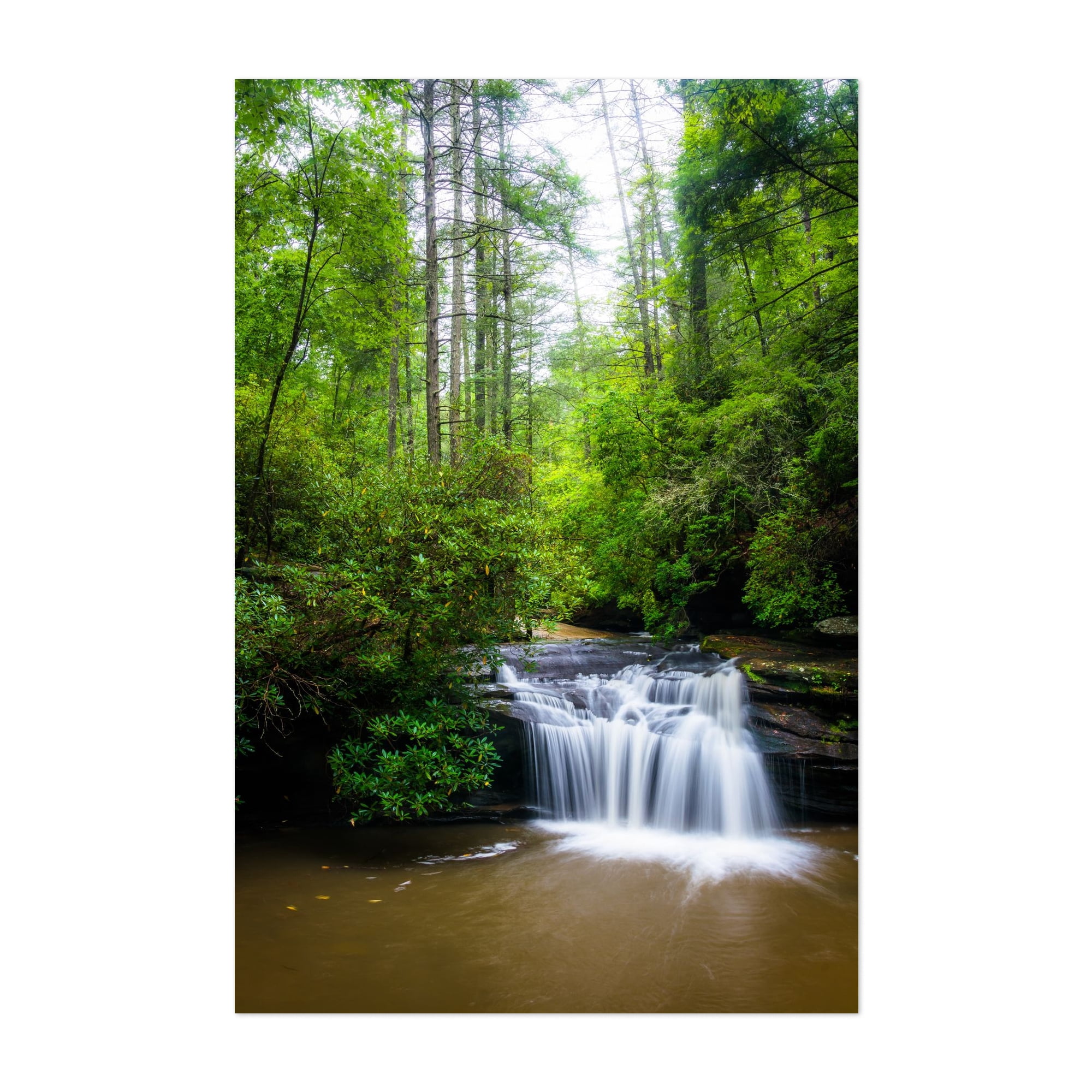 Little Waterfalls 03 - South Carolina Photography Waterfall Forest ...