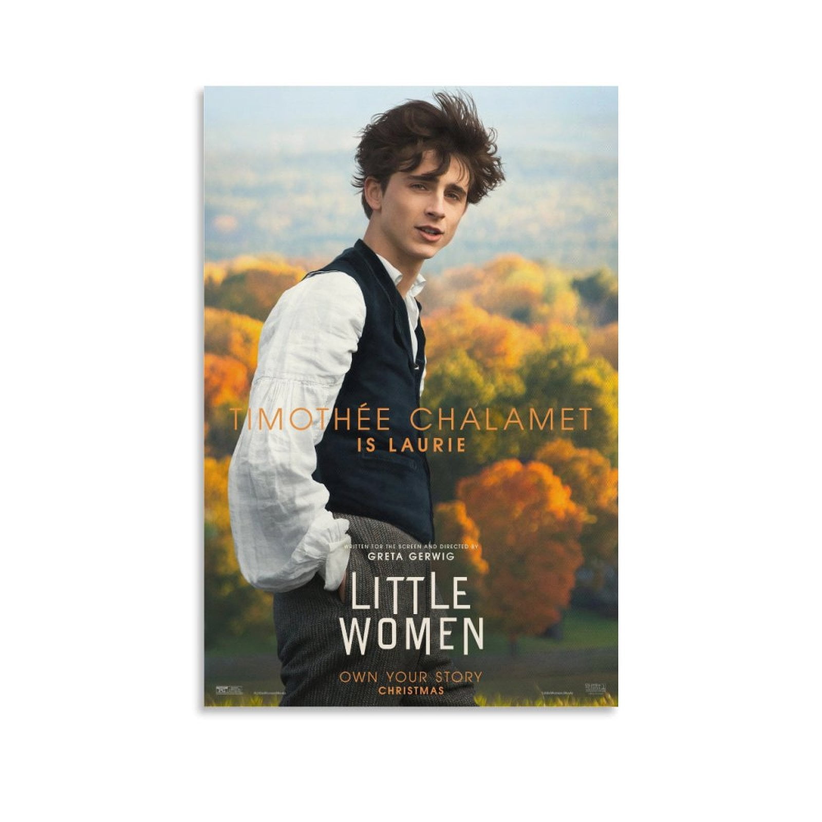 Little Women Movie Poster Timothee Chalamet Canvas Poster Wall Art ...